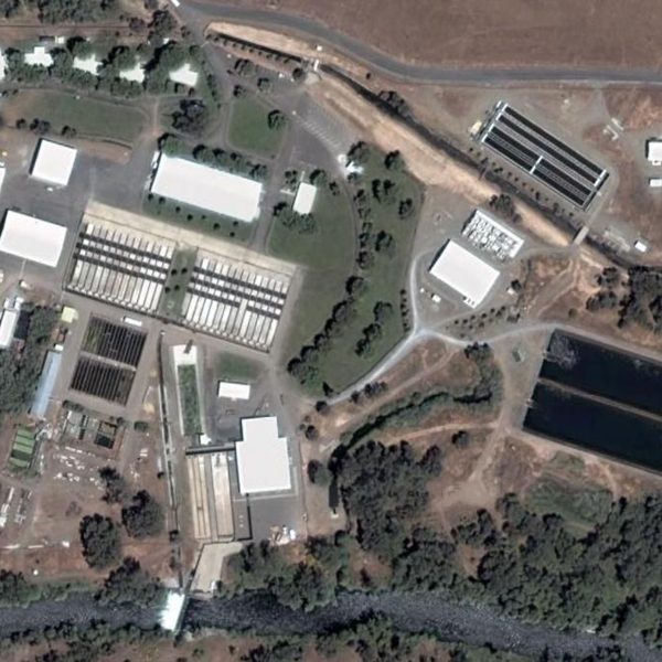 Coded Wire Tag Information - Regional Mark Processing Center