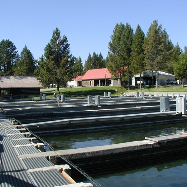 Coded Wire Tag Information - Regional Mark Processing Center