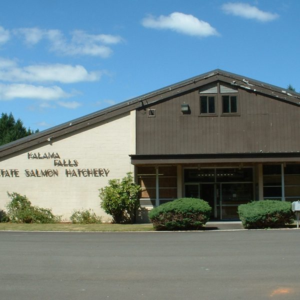 Coded Wire Tag Information - Regional Mark Processing Center