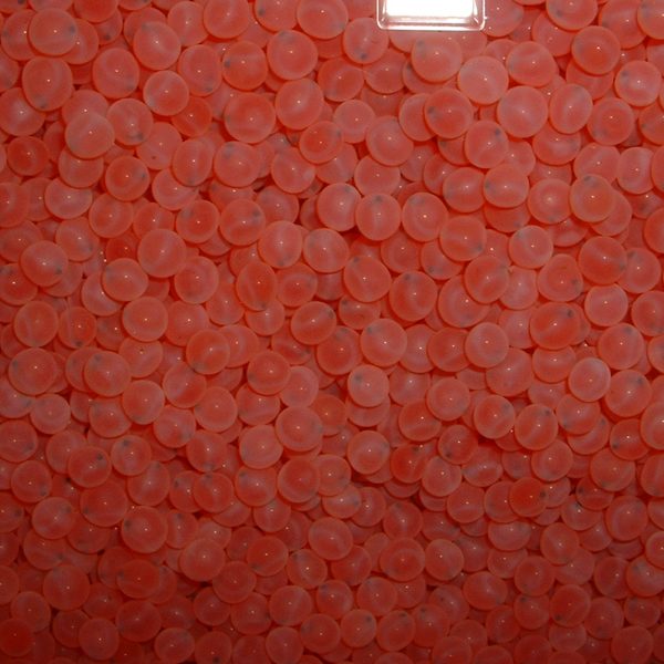 Coded Wire Tag Information - Regional Mark Processing Center