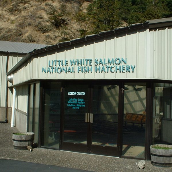 Coded Wire Tag Information - Regional Mark Processing Center