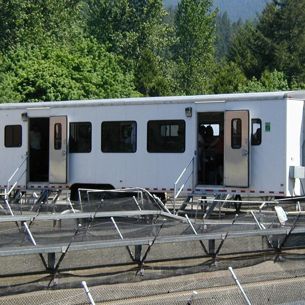 Coded Wire Tag Information - Regional Mark Processing Center