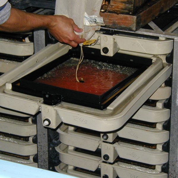 Coded Wire Tag Information - Regional Mark Processing Center