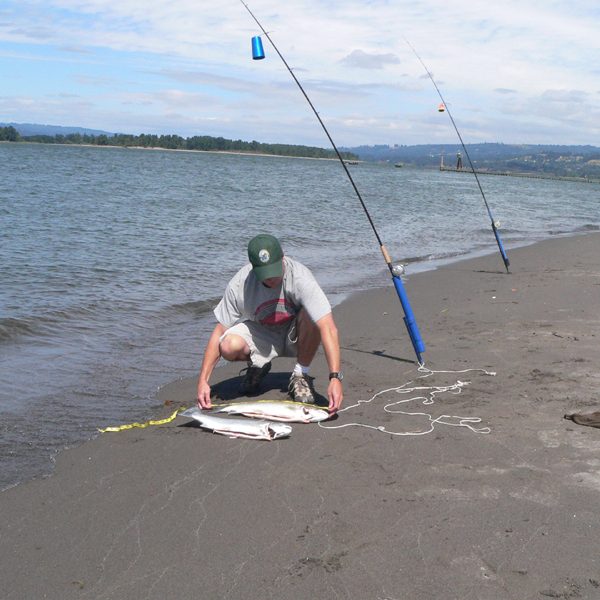 Coded Wire Tag Information - Regional Mark Processing Center