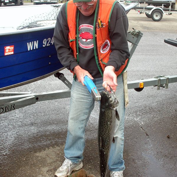 Coded Wire Tag Information - Regional Mark Processing Center