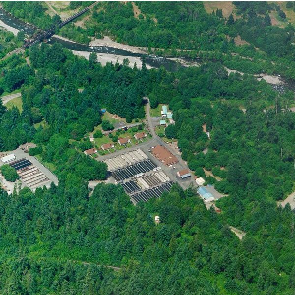 Coded Wire Tag Information - Regional Mark Processing Center